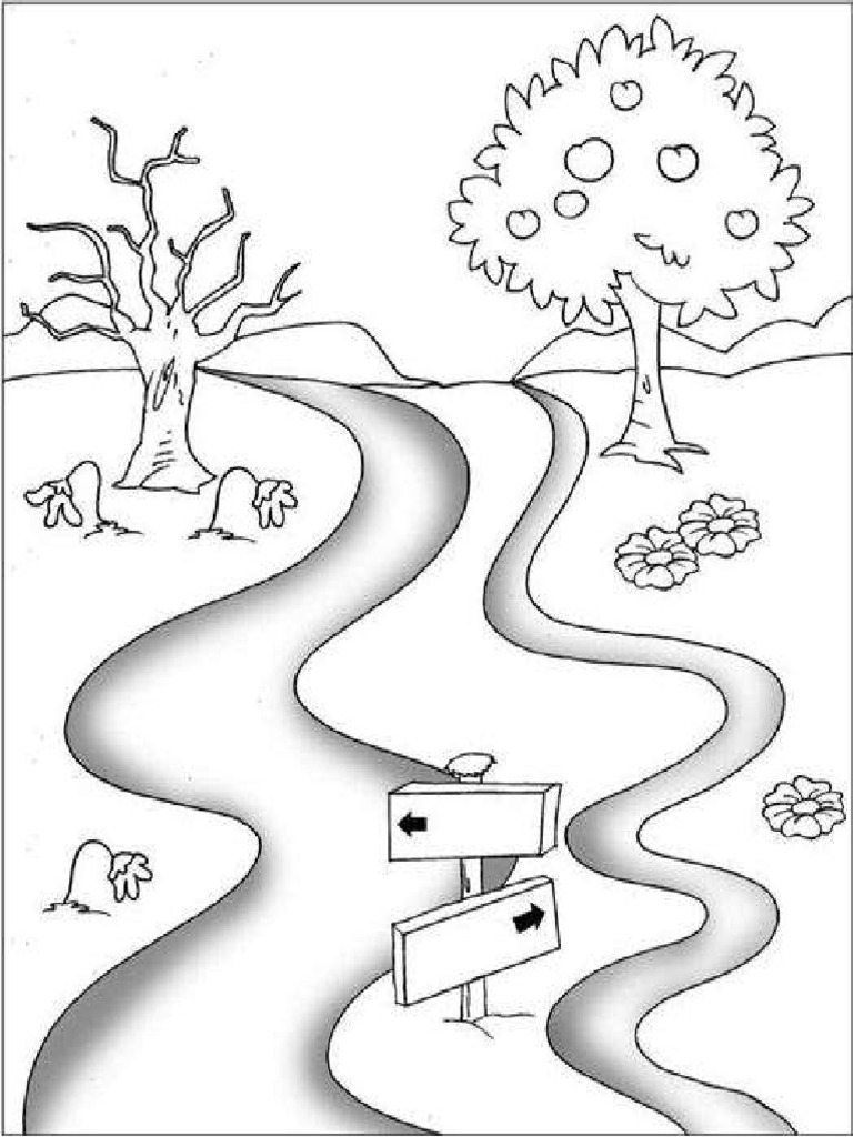 Ancho-Angosto, Largo-Corto | PDF