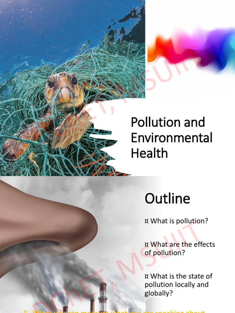 Understanding Pollution and Health Effects | PDF | Environmental Health ...