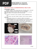 Stomach Cancer Histopathology Report | PDF | Histopathology | Pathology