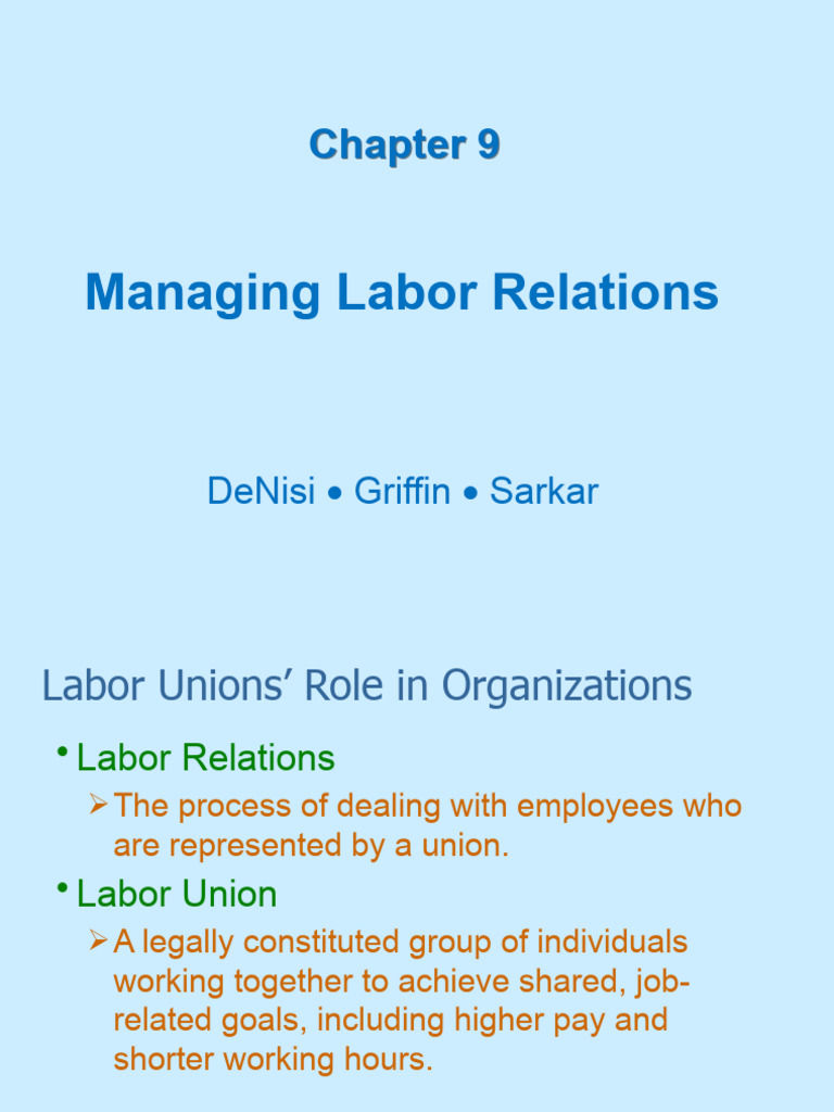 DeNisi Sarkar HR PPT ch09 | PDF