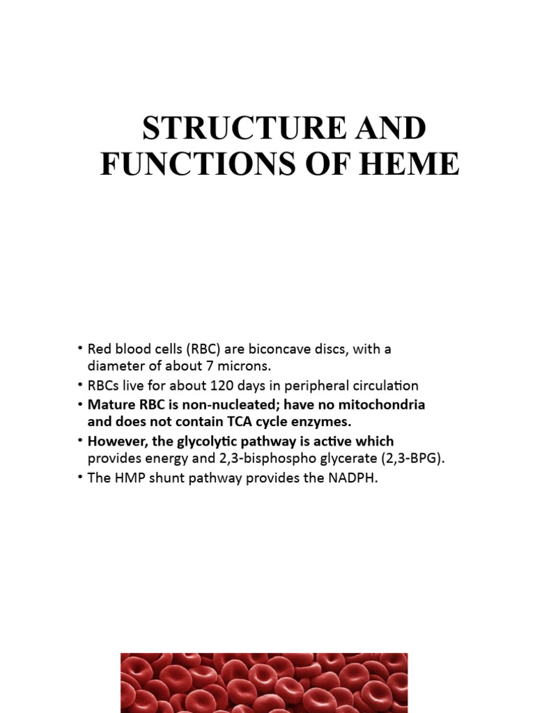 Structure and Functions of Heme | PDF | Hemoglobin | Chemistry