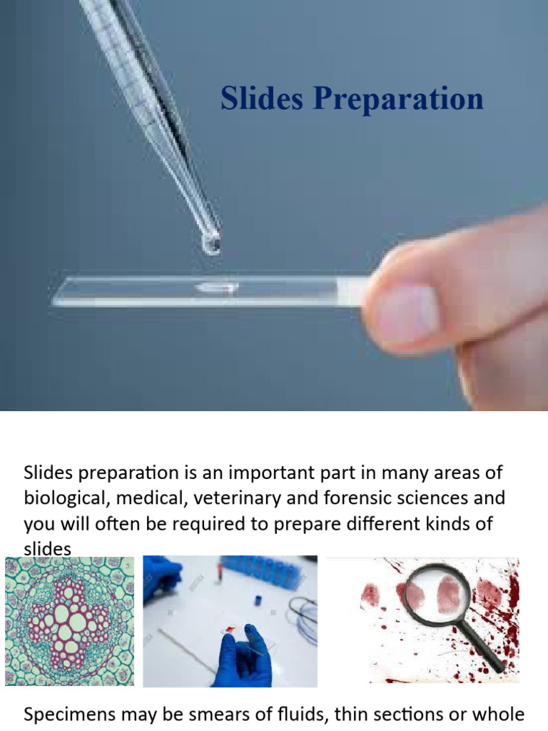Lec.3 Slide Preparation | PDF
