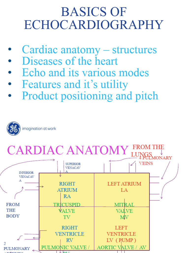 Echocardiography Basics and Techniques | PDF | Heart | Echocardiography