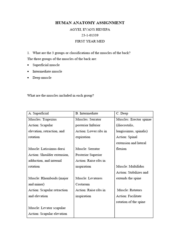 Anatomy Assignment 2024 | PDF