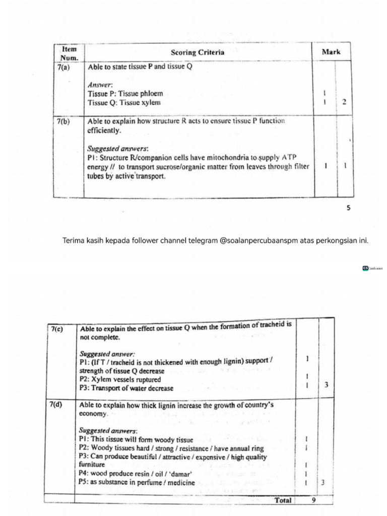 Jawapan Bio t5 Bab 4 | PDF