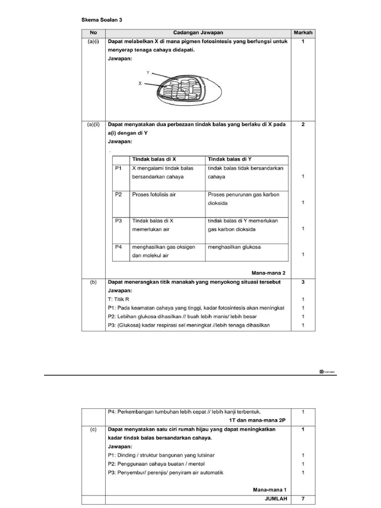 Jawapan Bio t5 Bab 2 | PDF