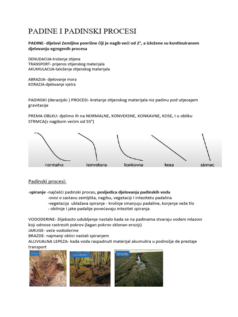 Padine I Padinski Procesi | PDF