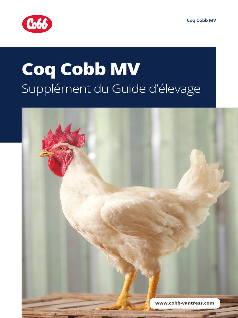 Guide Élevage Coq Cobb MV | PDF