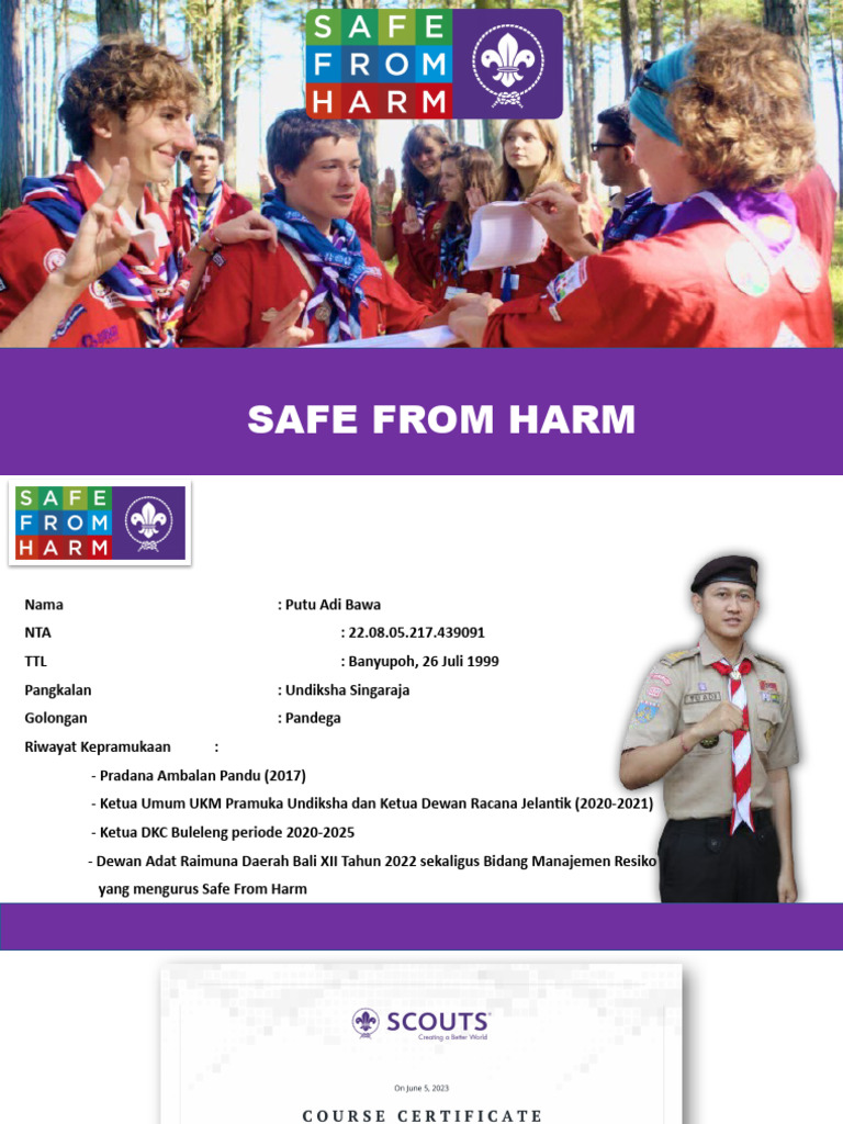 Materi Safe From Harm | PDF