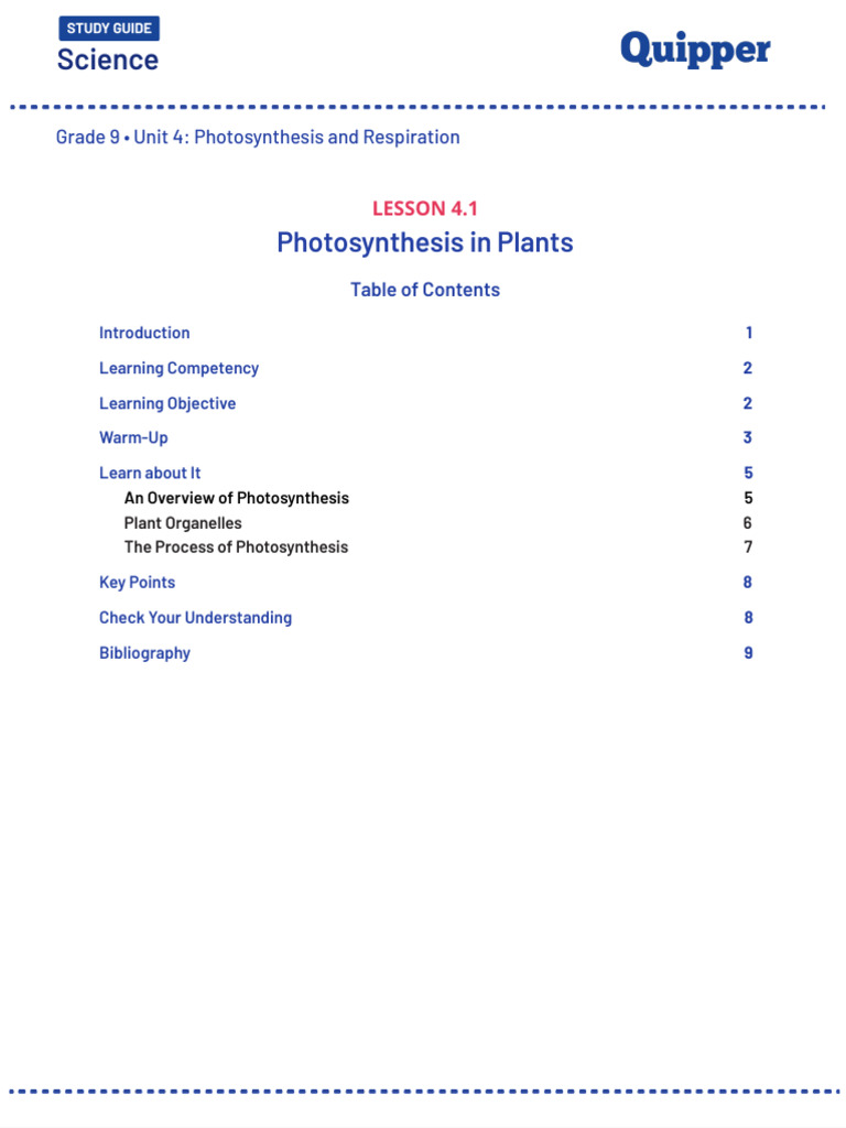 Photosynthesis in Plants | PDF