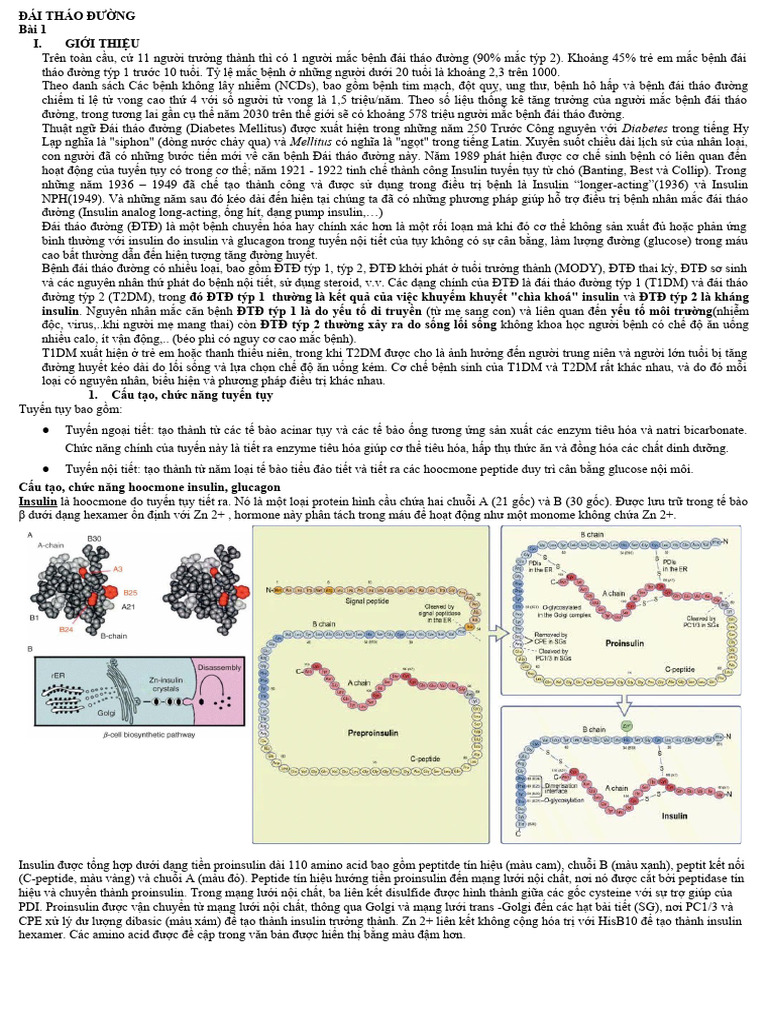 SLB Đái Tháo Đư NG | PDF