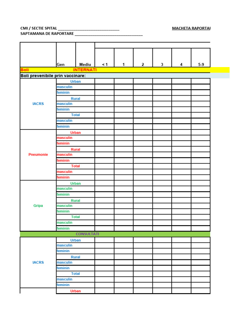 Macheta Raportare Coduri 2022-2023 | PDF