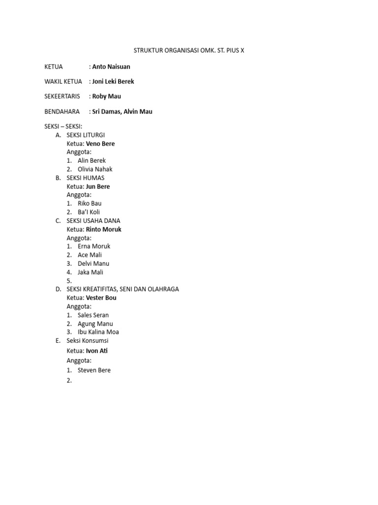 Struktur Organisasi Omk St. Pius | PDF