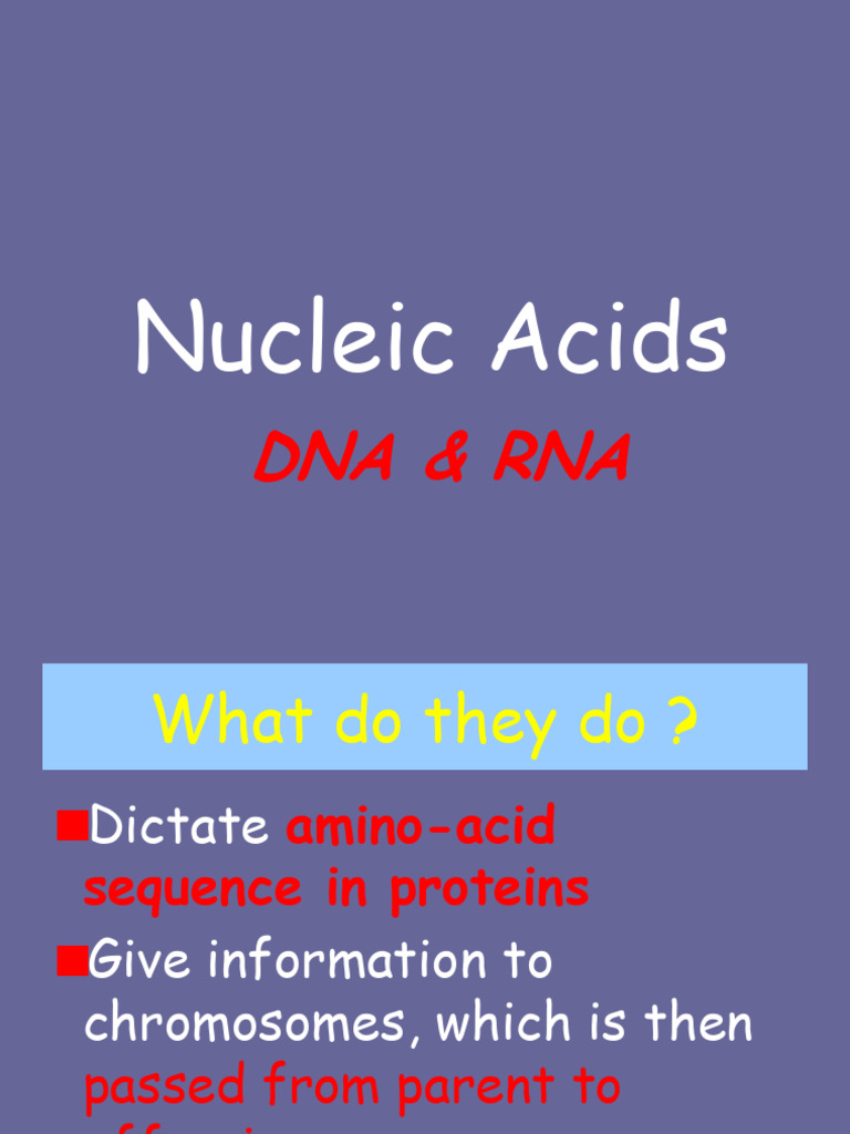 Dna Structure | PDF | Dna | Rna