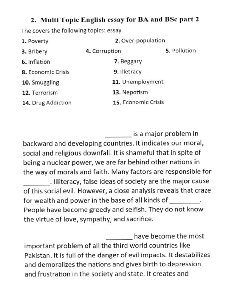 Essay SAMEER HUSSAIN | PDF