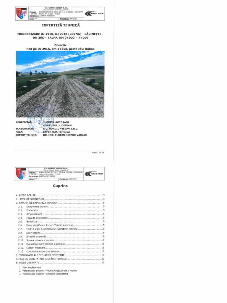 Dj291k - Expertiza Tehnica Pod Km 2+908 | PDF