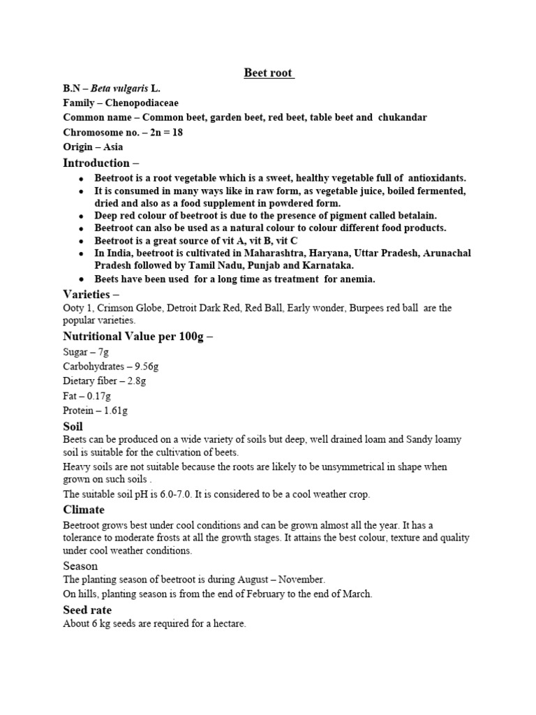 Beetroot | PDF
