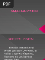 Student Skeletal System Exam Questions | PDF | Skeleton | Bone