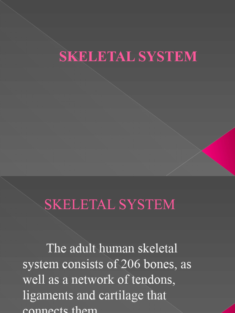 Skeletal System | PDF
