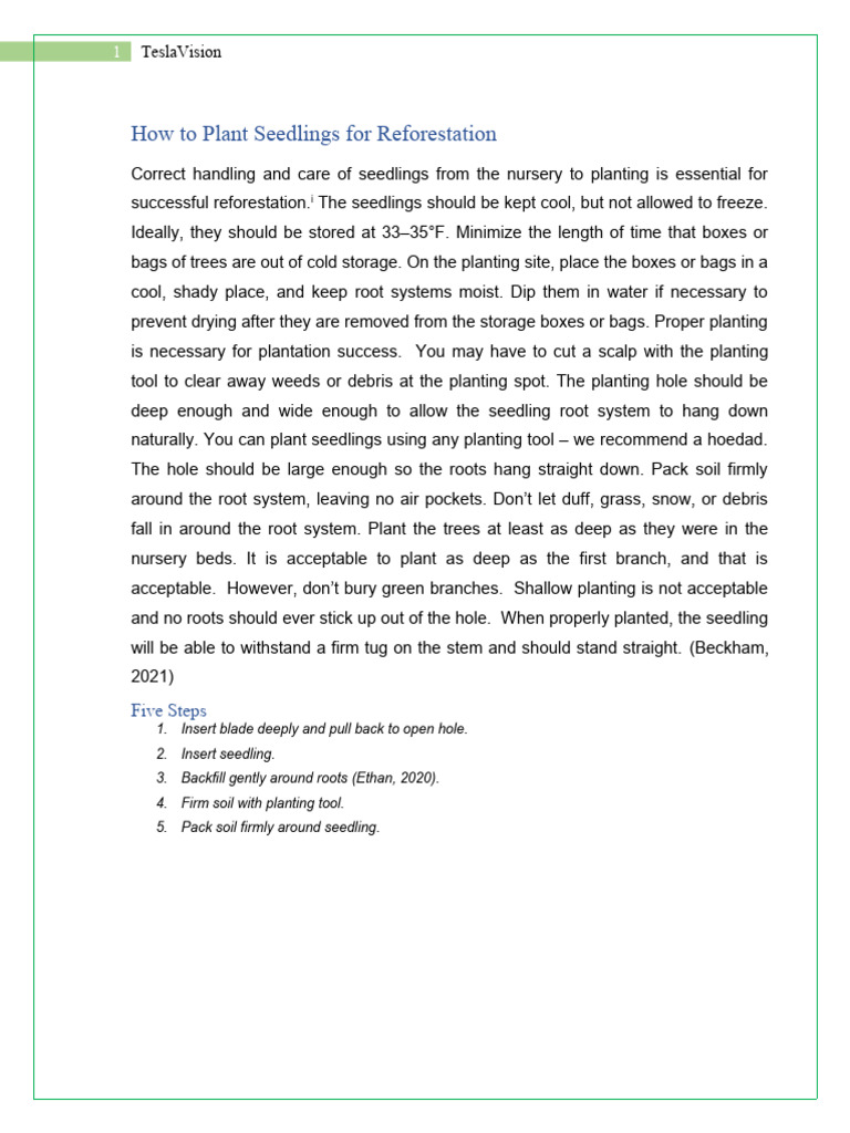 Bai Tap 10 | PDF | Plant Nursery | Apple