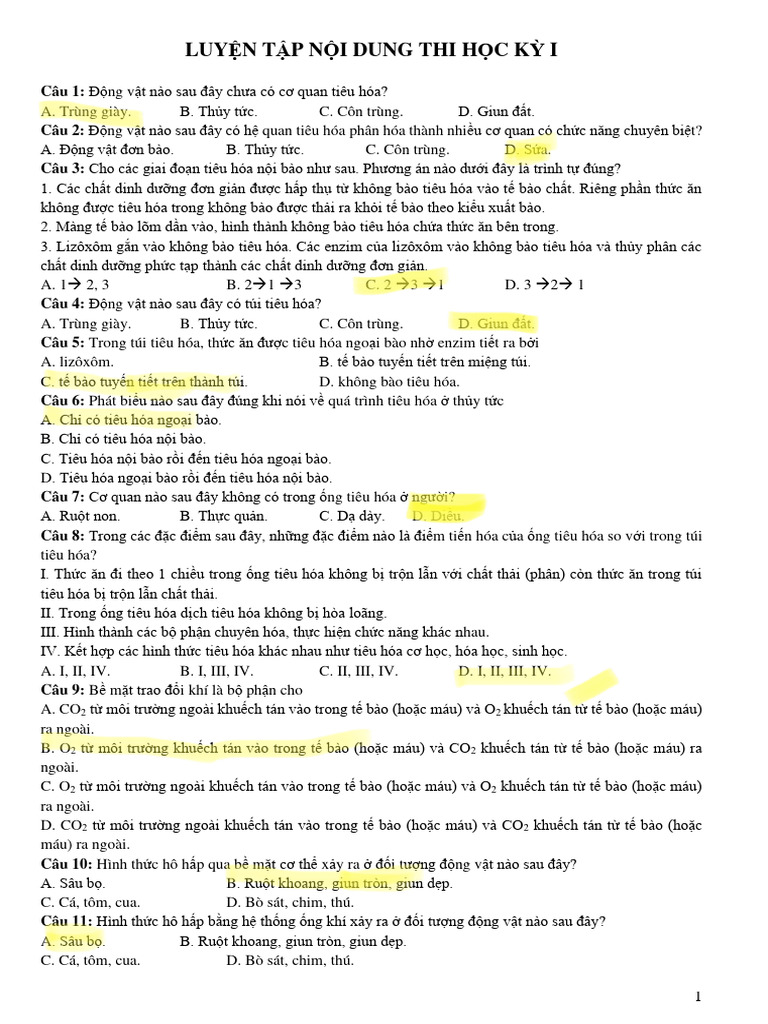 LUYỆN TẬP HK1 | PDF