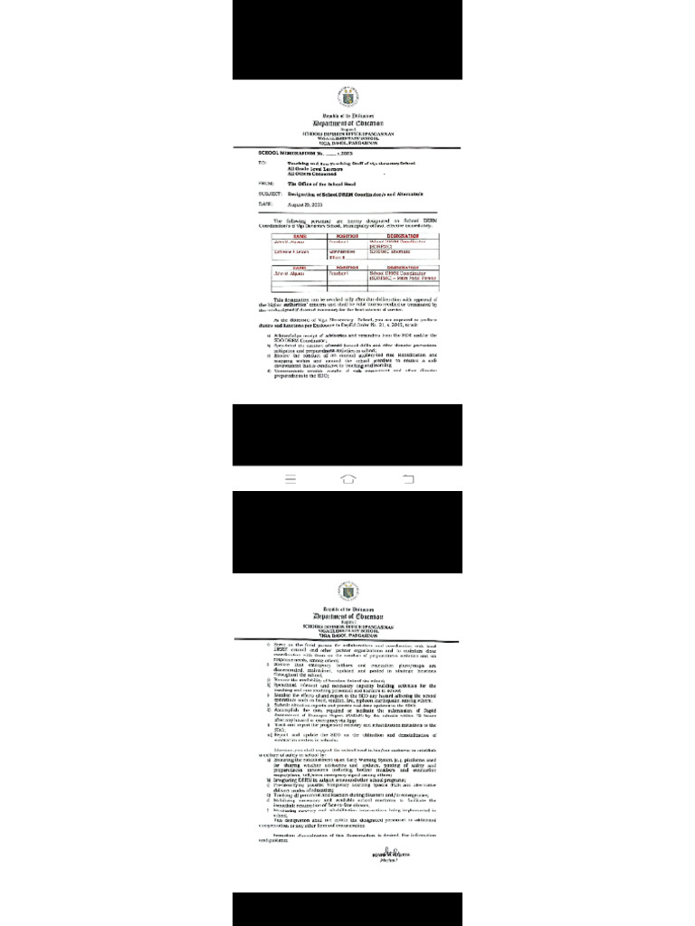 SDRRM Designation | PDF