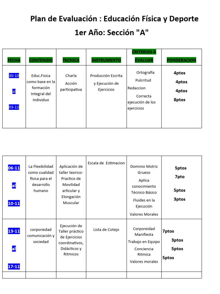 1er Año Plan De Evaluacion Pdf