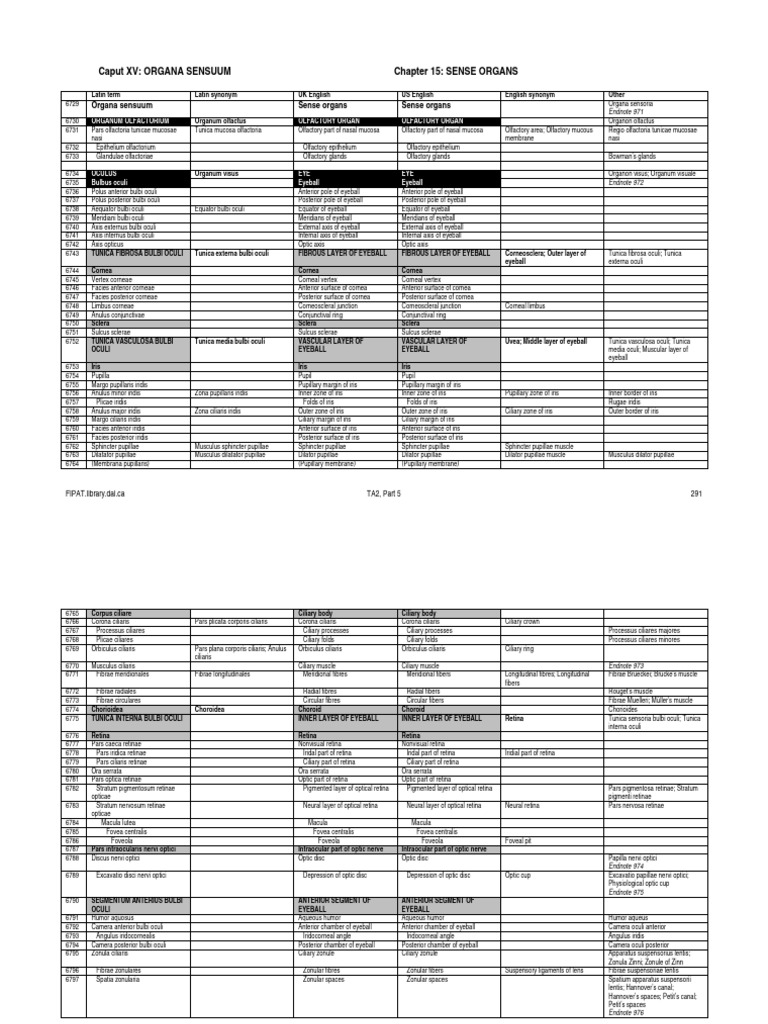 Blok 18 | PDF | Retina | Human Eye