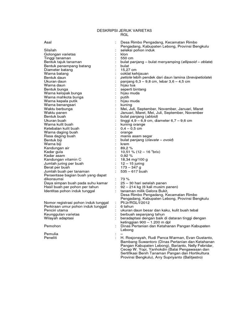 Jeruk RGL - OK | PDF