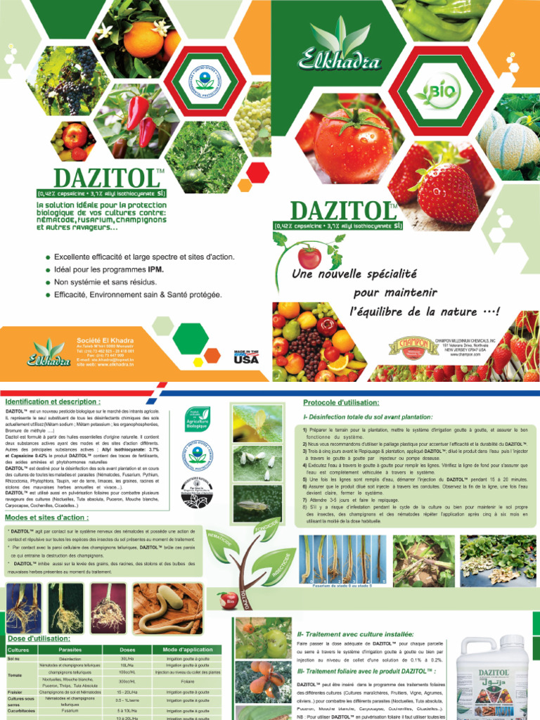 Fiche Technique DAZITOL | PDF