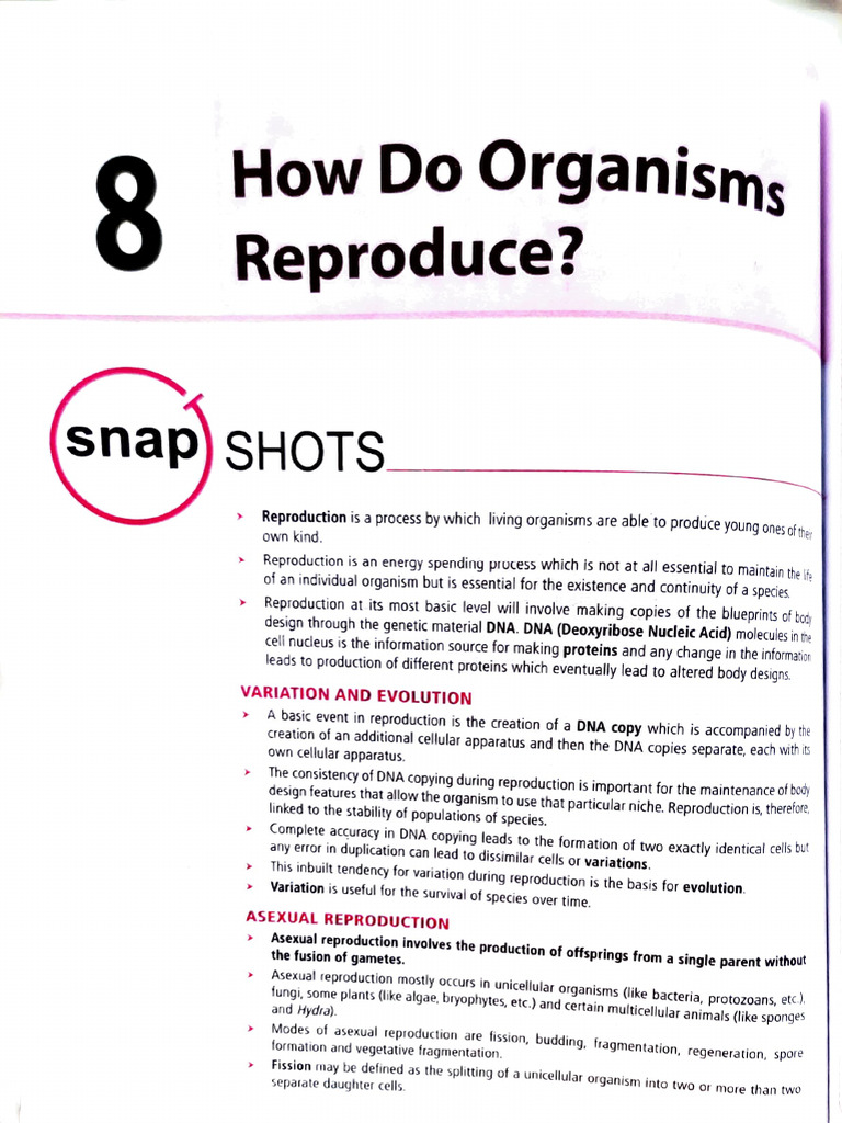 MTG Rep | PDF | Uterus | Reproduction