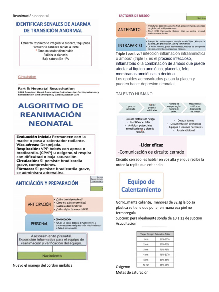 Reanimación Neonatal | PDF | Reanimación cardiopulmonar | Especialidades Medicas