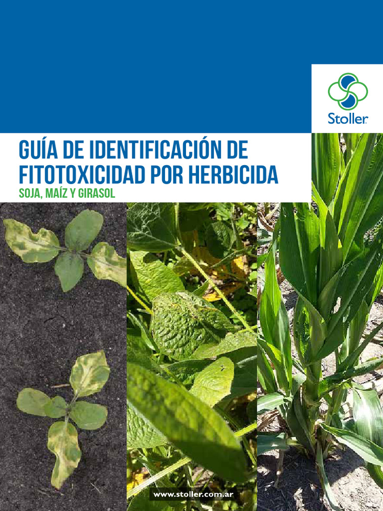 GUIA-FITO-1.PDF | PDF | Herbicida | Auxina
