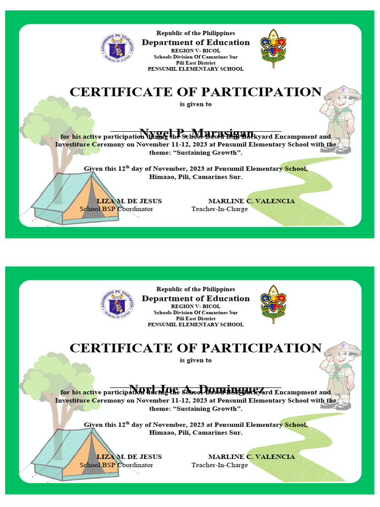 BSP Certificate | PDF | Government Related Organizations | Governance