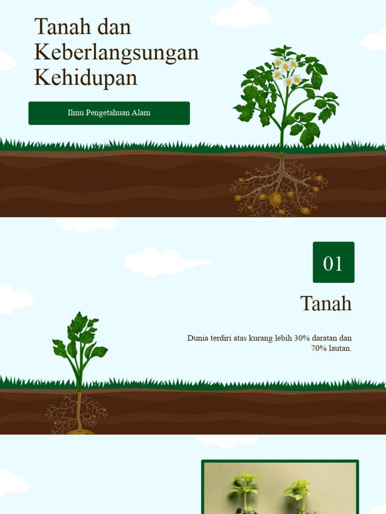 BAB 9 (Tanah Dan Keberlangsungan Kehidupan) | PDF