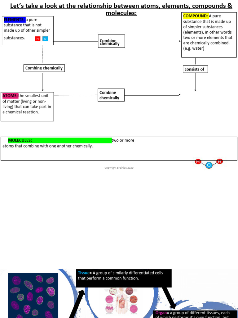 Chemistry of Life | PDF | Carbohydrates | Lipid