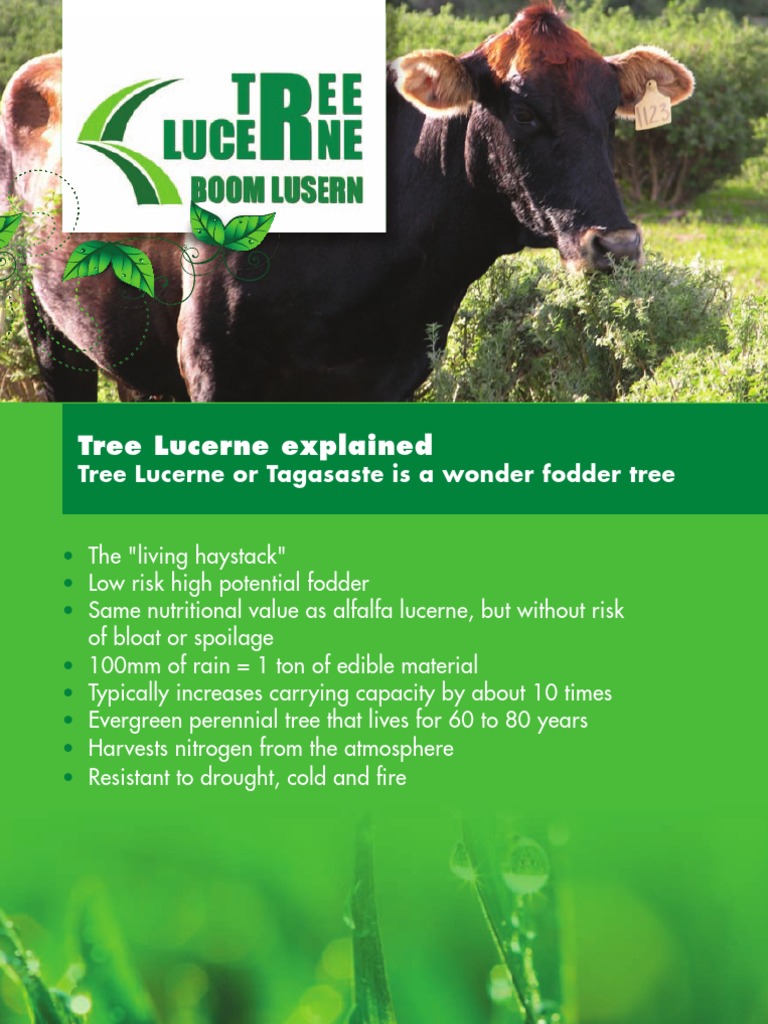 BOOM LUSERN Supplement | PDF | Alfalfa | Soil