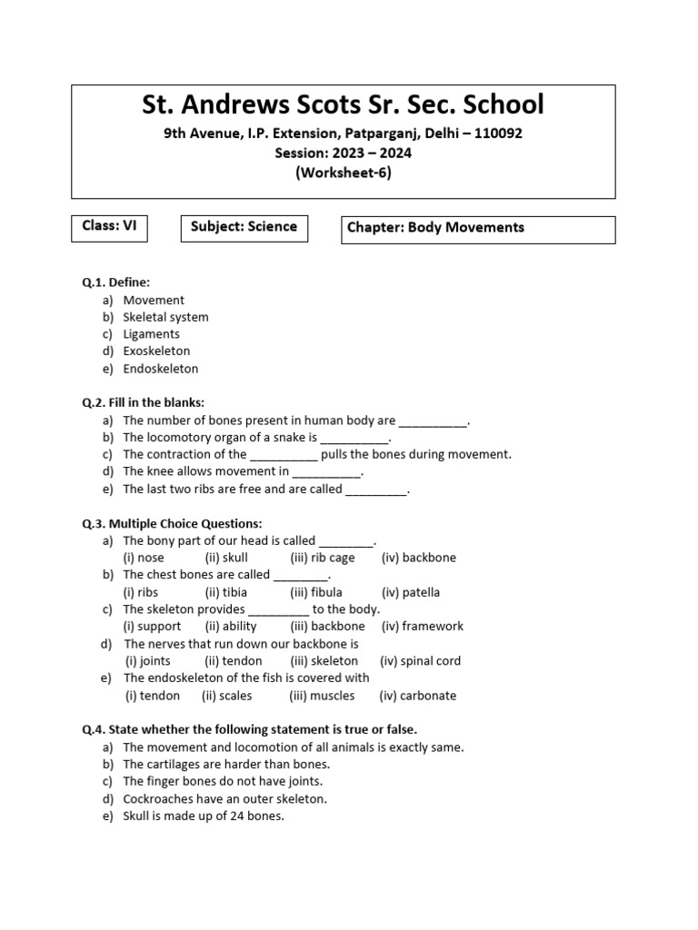 Class 6 Body Movements Worksheet | PDF