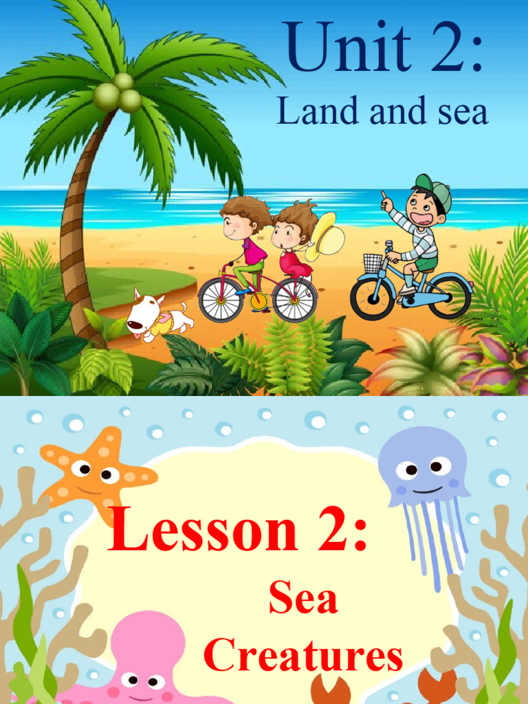 Unit 2 - Lesson 2 - Sea Creatures | PDF | Dolphin | Whales