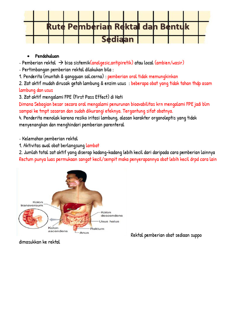 Rute - Sediaan - Rektal - Copy Beres | PDF