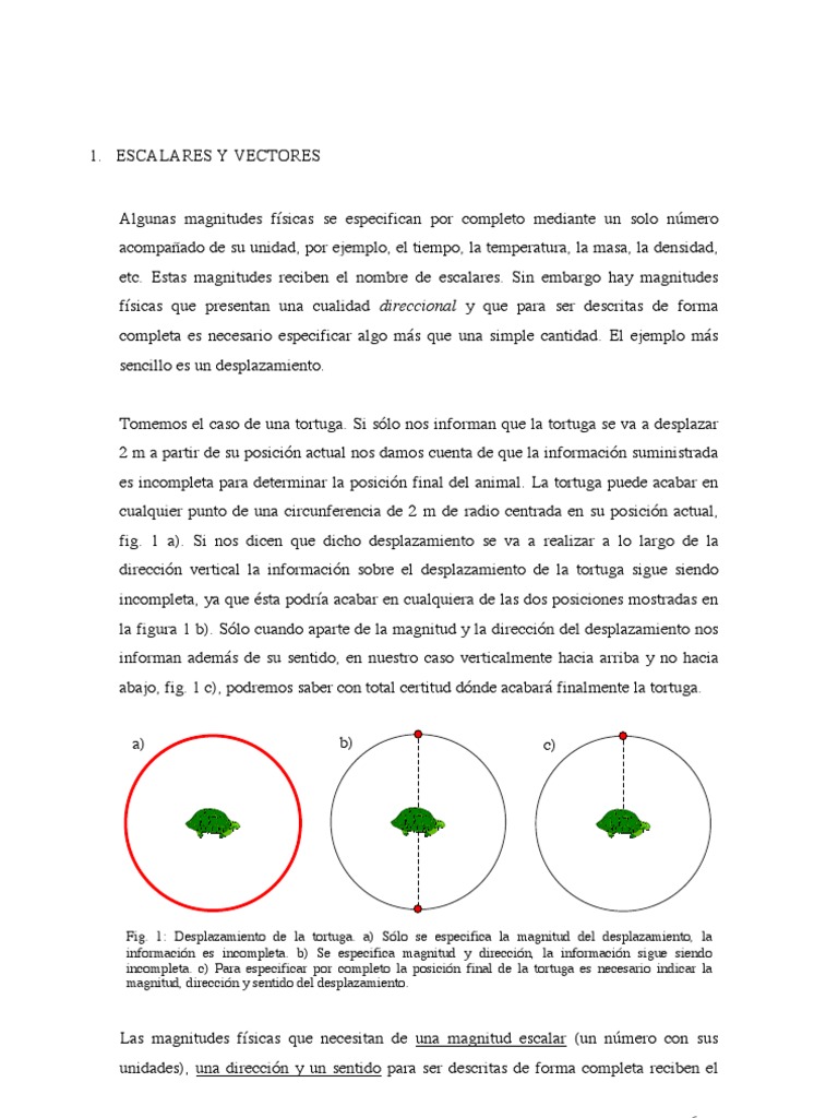 Escalares y Vectores | PDF | Vector Euclidiano | Espacio vectorial