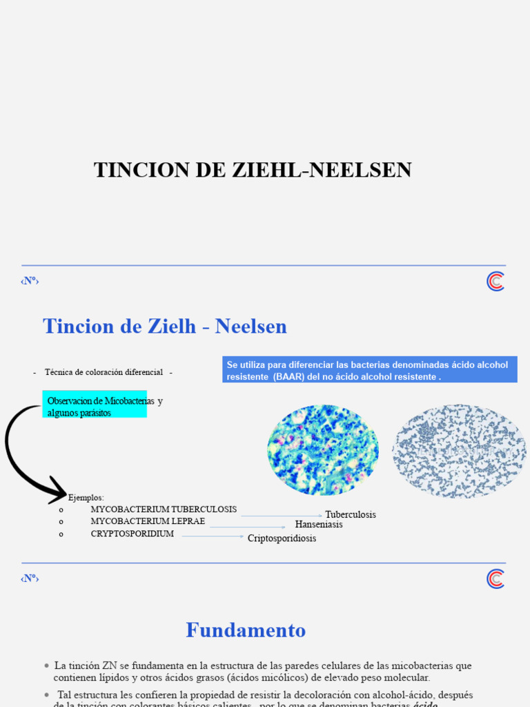 Tincion de Ziehl-Neelsen-2 | PDF | Mycobacterium | Tinción
