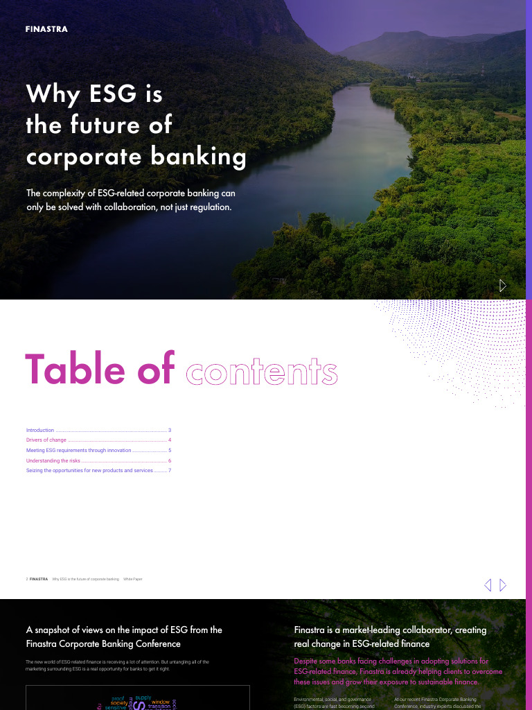 Resource Why Esg Future Corporate Banking | PDF | Banks | Risk