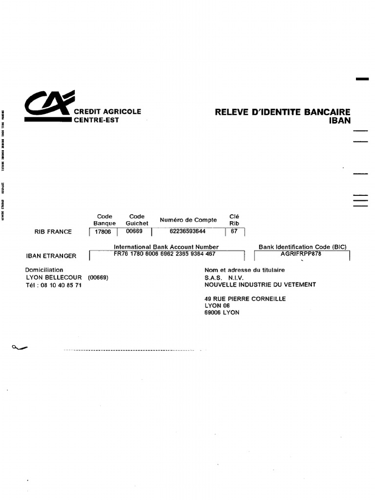 Rib CA E-Commerce (1) 2 | PDF