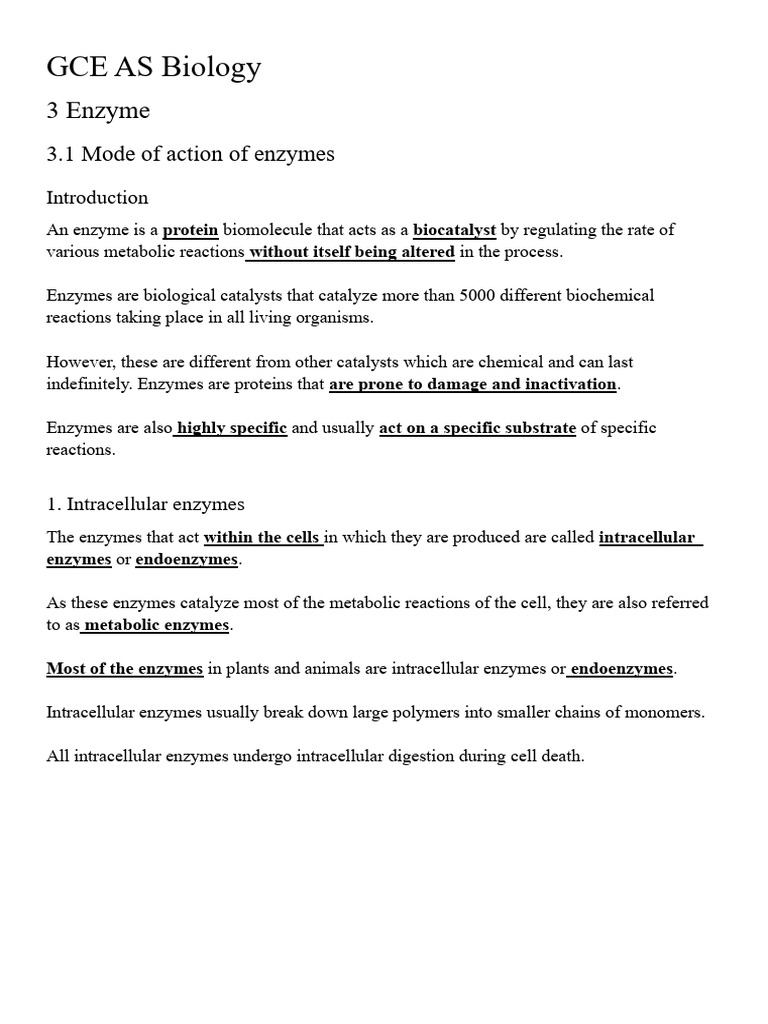 GCE AS Biology 3 ENZYME Note | PDF | Enzyme | Active Site