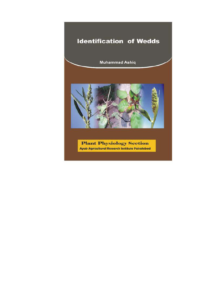 Identification of Weeds - 0 | PDF