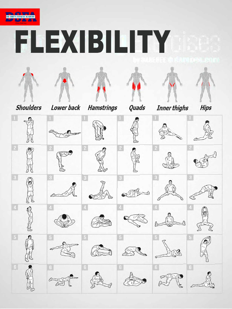 Stretching Exercises Chart | PDF