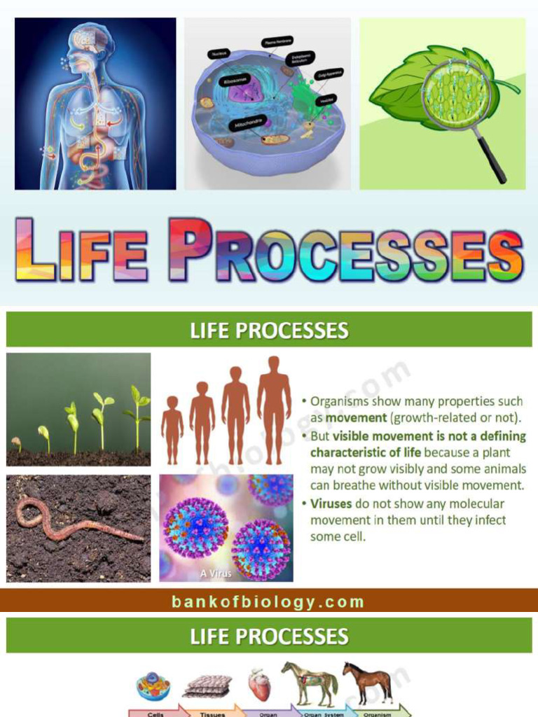 BIOLOGY ALL CHAPTERS | PDF