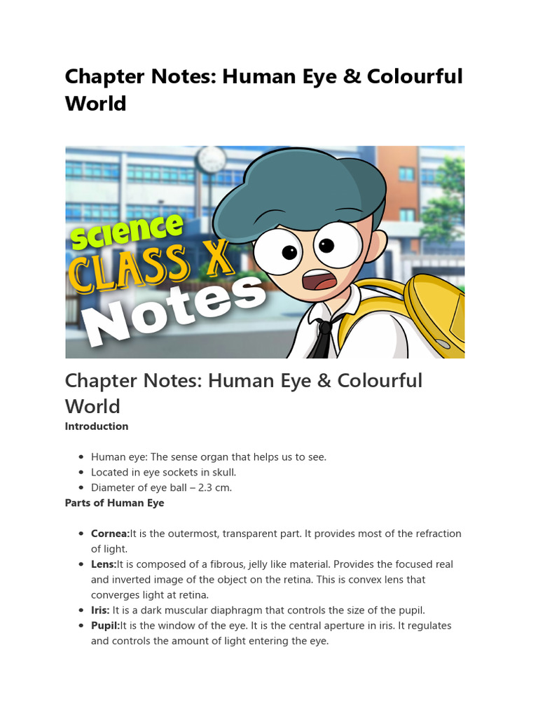 Chapter Notes Human Eye & Colourful World | PDF | Eye | Human Eye