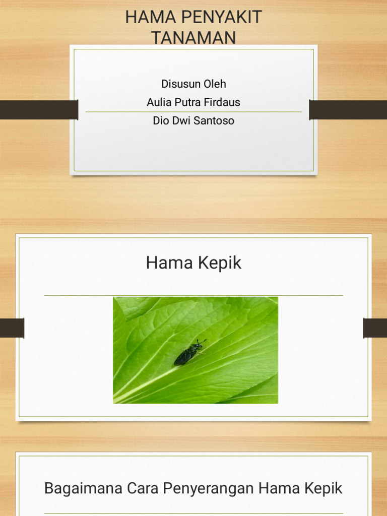 10 Jenis Hama Tanaman dan Penanganannya | PDF